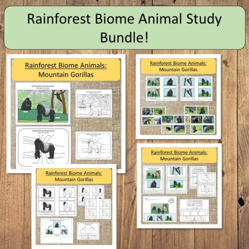 Rainforest Biome Animal Study Bundle Geography science study montessori ...