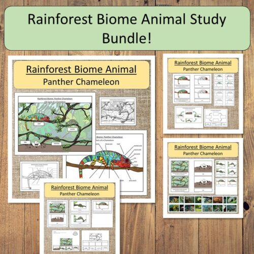 Rainforest Biome Animal Study Bundle Geography science study montessori ...