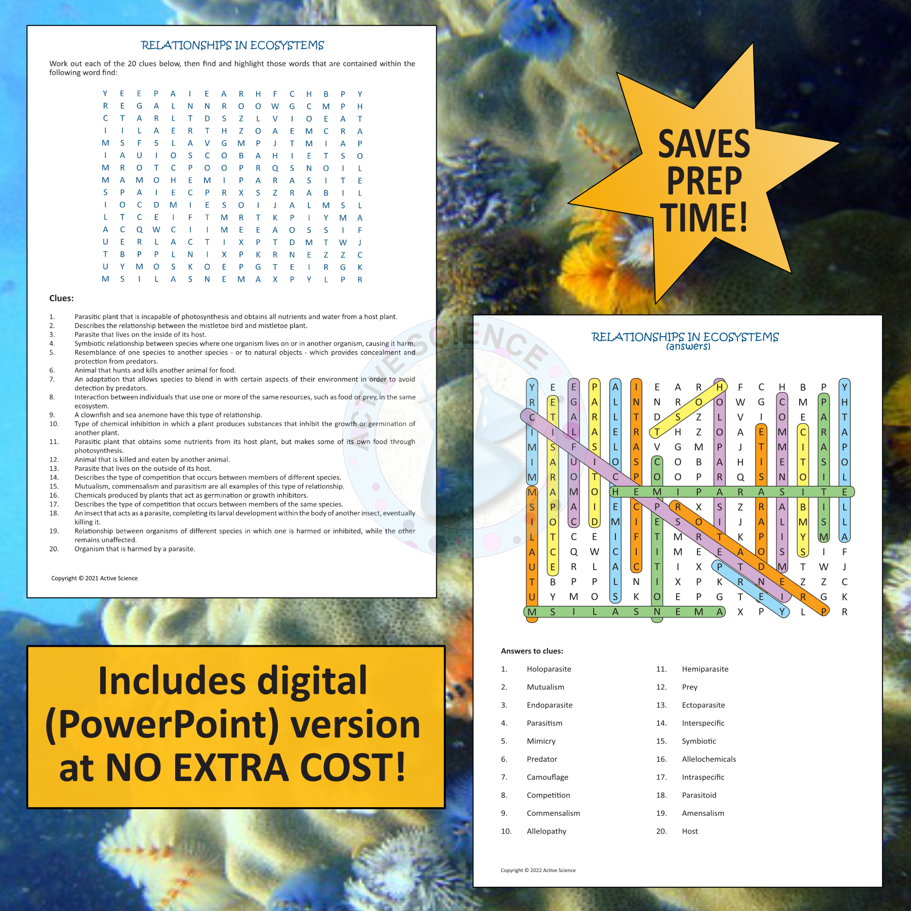 Ecosystems: food chains & food webs, relationships in ecosystems (US ...