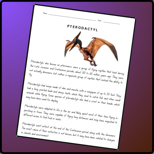 Dinosaur Activities Nonfiction Reading Comprehension Passages | Made By ...
