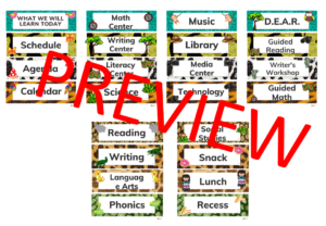 Safari Theme Daily Schedule Cards Editable | Made By Teachers
