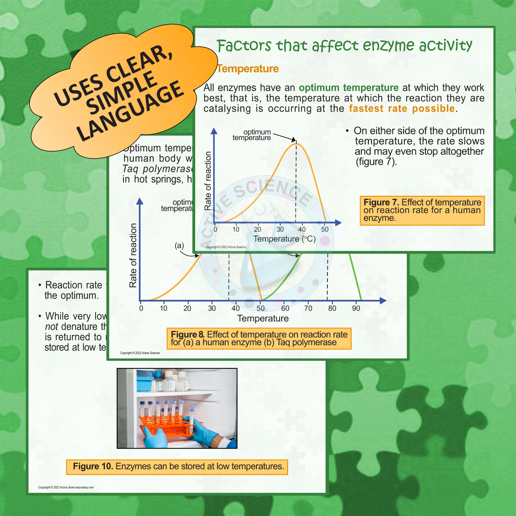 Enzymes as biological catalysts (PowerPoint Presentation) US Edition ...
