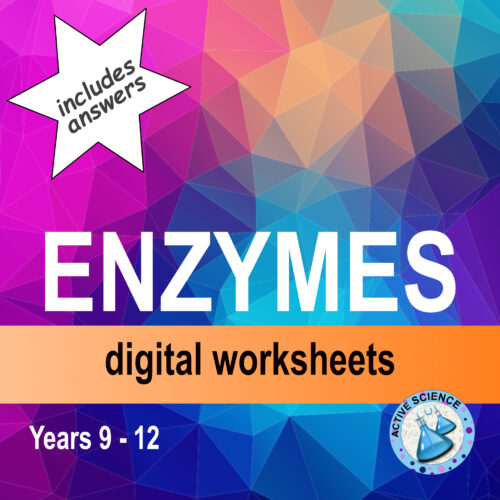 Enzymes as Biological Catalysts (digital worksheets) | Made By Teachers