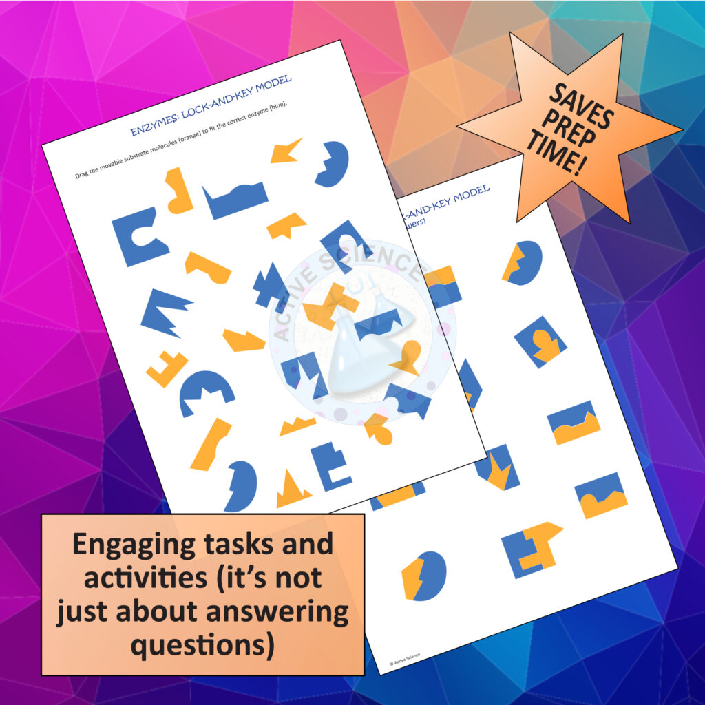 Enzymes as Biological Catalysts (digital worksheets) | Made By Teachers