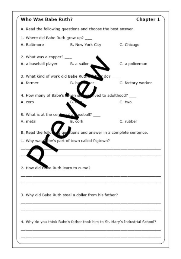 Joan Holub "Who Was Babe Ruth?" worksheets | Made By Teachers