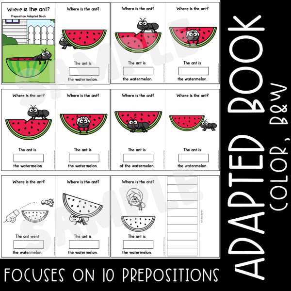Summer Prepositions Adapted Book Interactive Booklet Flash Cards - Ant ...