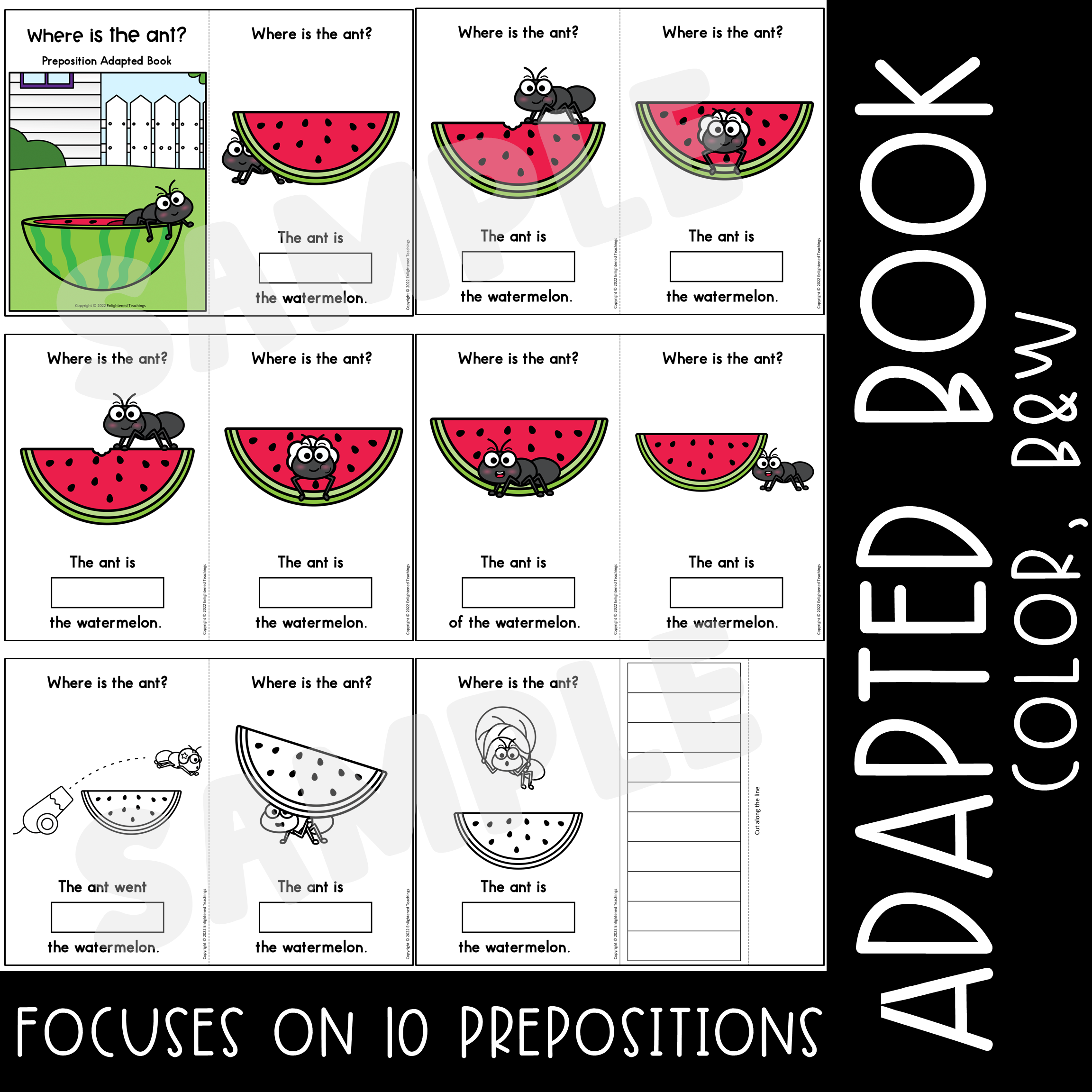 Summer Prepositions Adapted Book Interactive Booklet Flash Cards - Ant ...