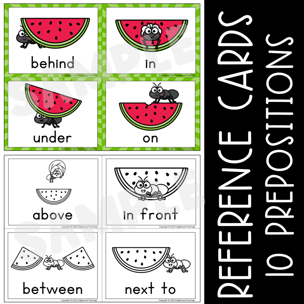 Summer Prepositions Adapted Book Interactive Booklet Flash Cards - Ant ...