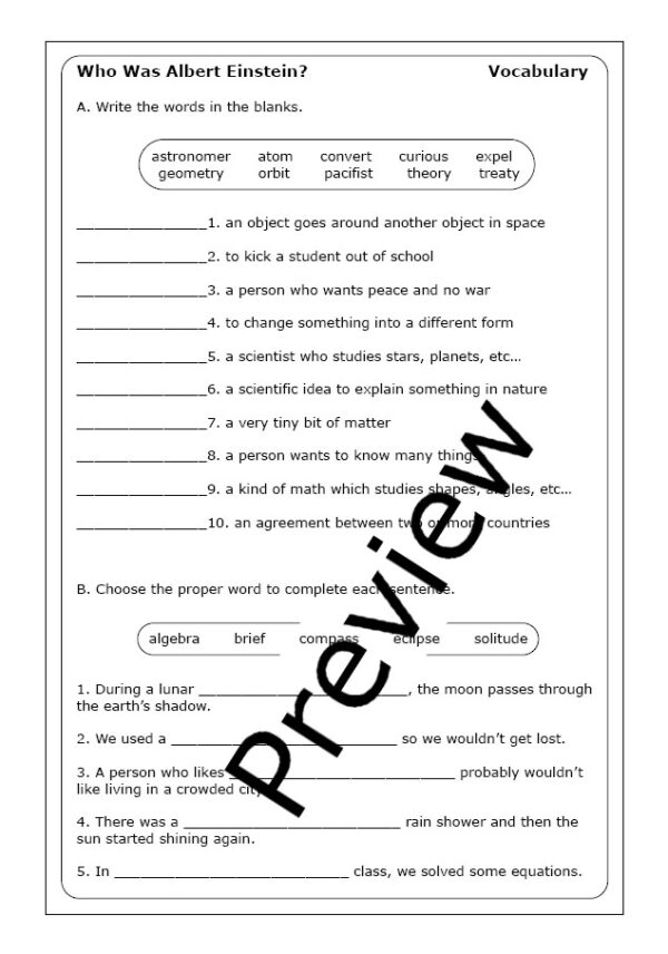 Jess Brallier "Who Was Albert Einstein?" worksheets | Made By Teachers