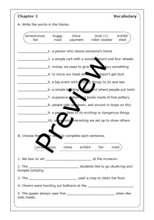 Kate Boehm Jerome "Who Was Amelia Earhart?" worksheets | Made By Teachers