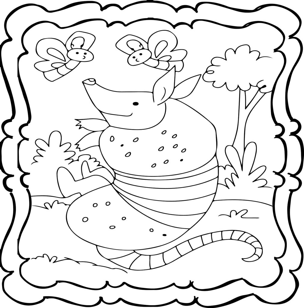 Armadillo Coloring Book : Easy and Fun Armadillos Colouring Book for Kids | Made By Teachers