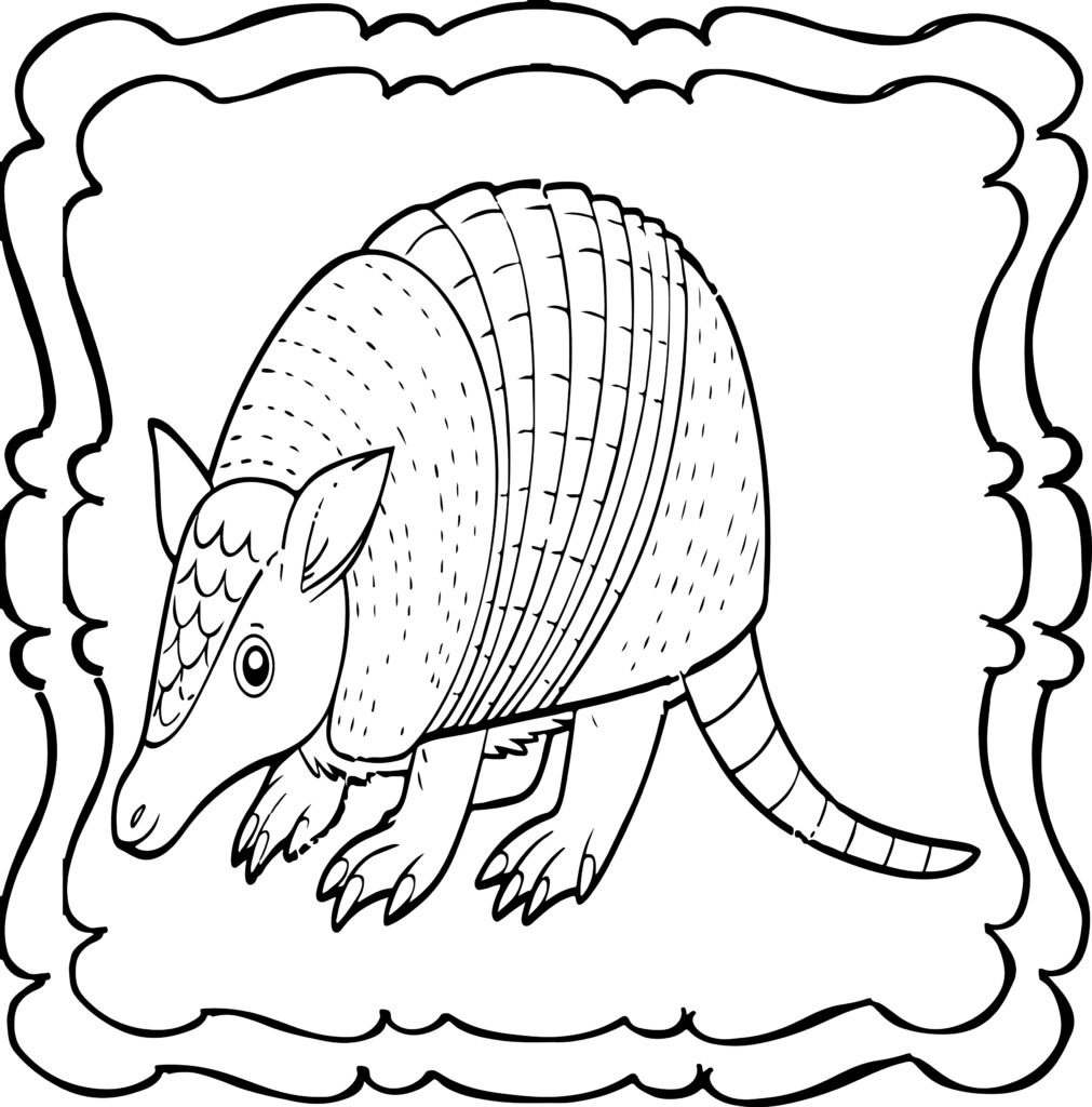 Armadillo Coloring Book : Easy and Fun Armadillos Colouring Book for ...