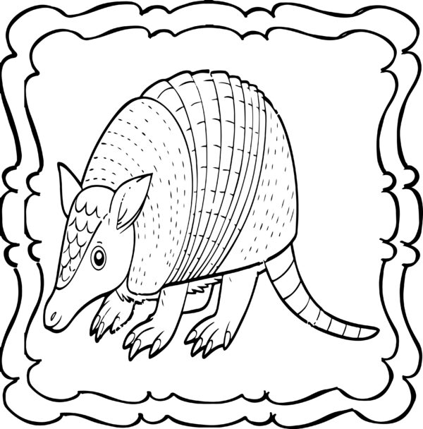 Armadillo Coloring Book : Easy and Fun Armadillos Colouring Book for Kids | Made By Teachers