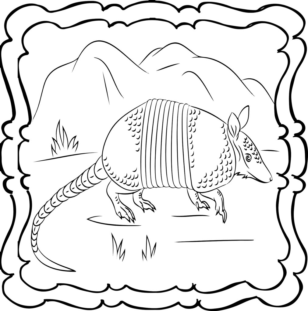 Armadillo Coloring Book : Easy and Fun Armadillos Colouring Book for ...