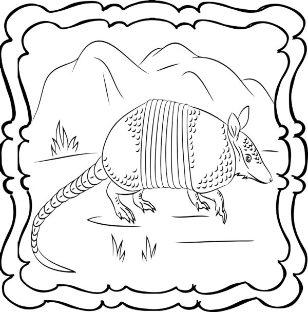 Armadillo Coloring Book : Easy and Fun Armadillos Colouring Book for Kids | Made By Teachers