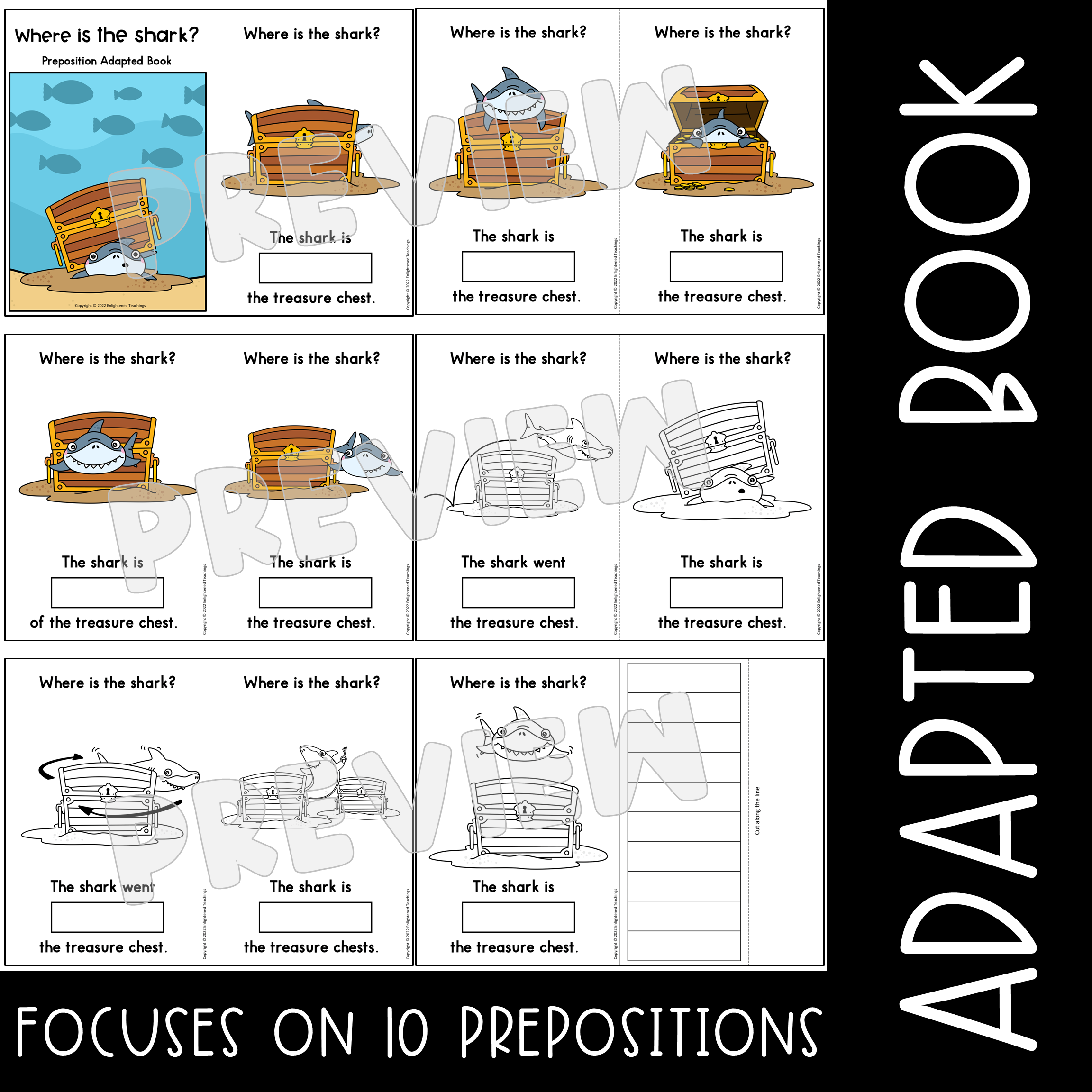 Summer Prepositions Adapted Book Interactive Booklet Flash Cards ...