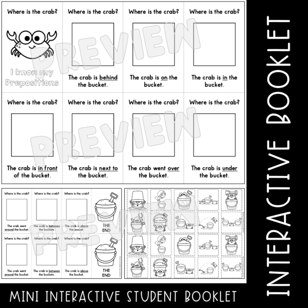Summer Prepositions Adapted Book Interactive Booklet Flash Cards - Crab ...