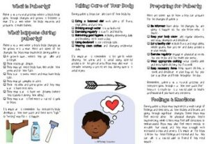 PUBERTY FOR BOYS Counseling Brochure for Kids | Made By Teachers