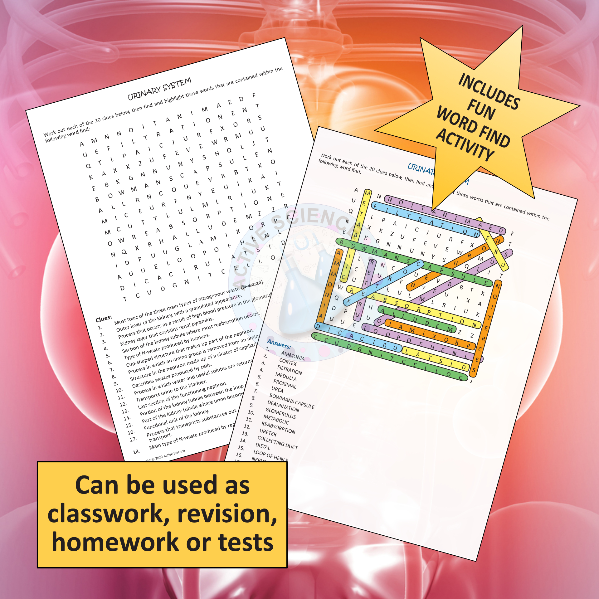 Excretion: Urinary & Respiratory Systems | Made By Teachers