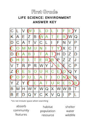 Unlock Your Child's Scientific Curiosity with our First Grade Science ...