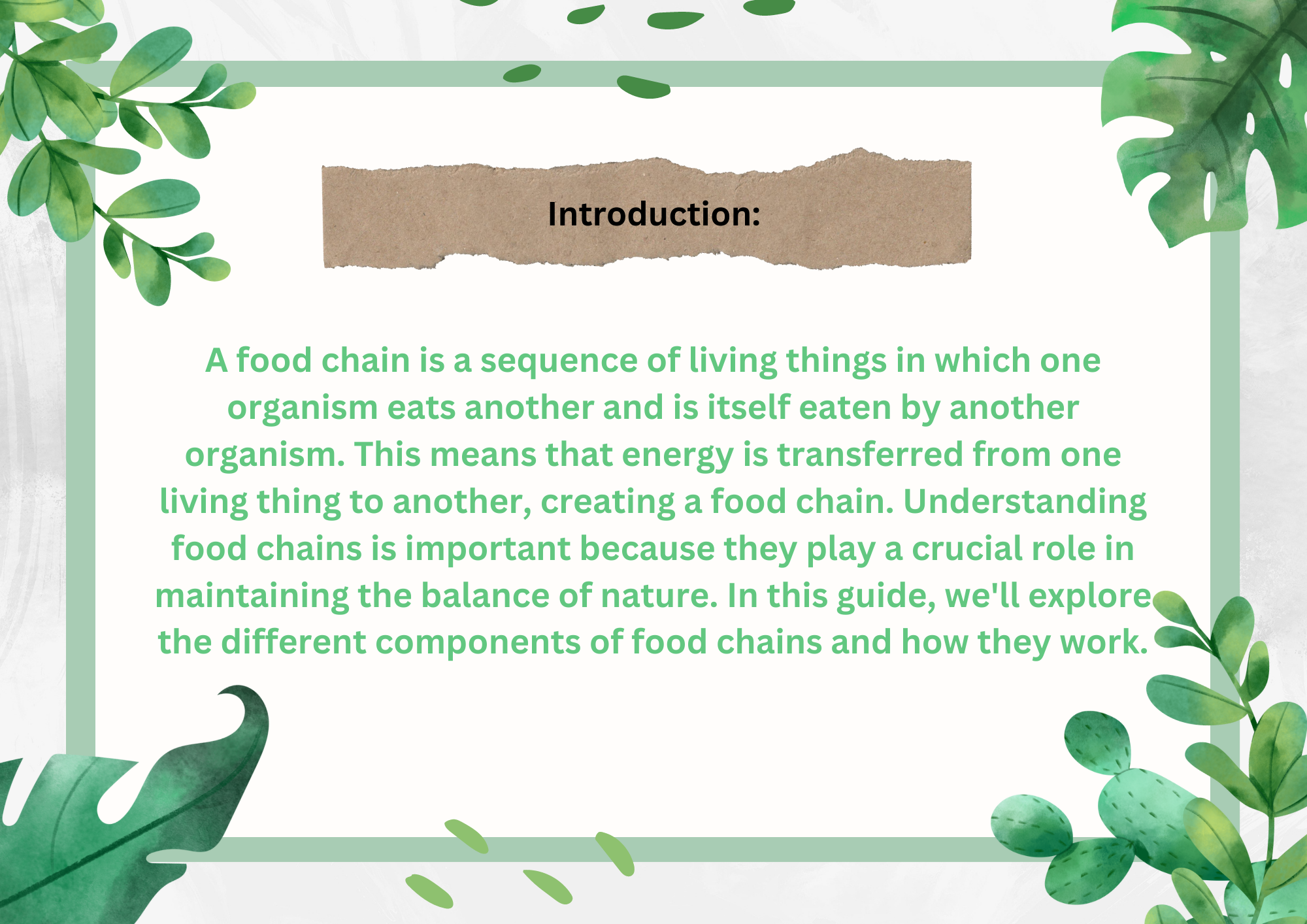 Exploring Food Chains: Understanding How Living Things Interact "Food ...