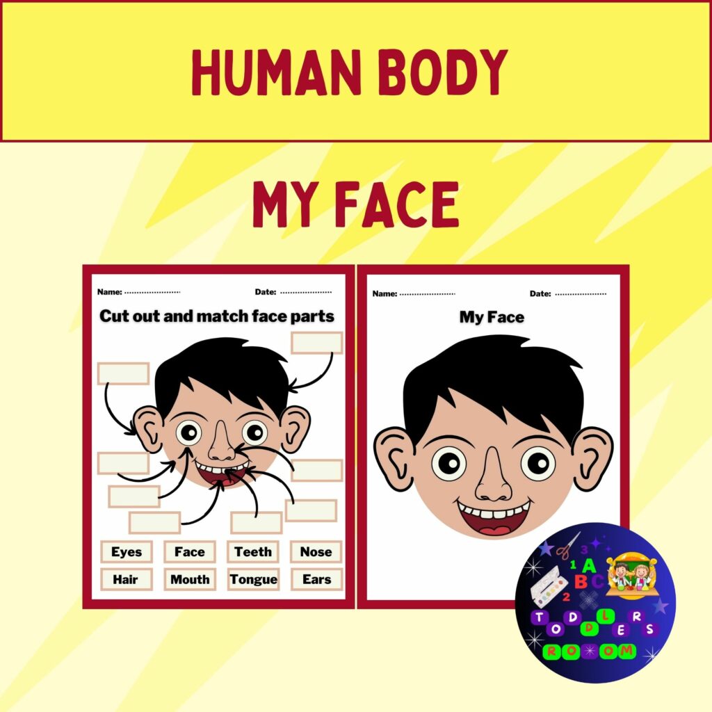 Human Face: Drawing, Matching and Writing Activity Work Sheets | Made ...