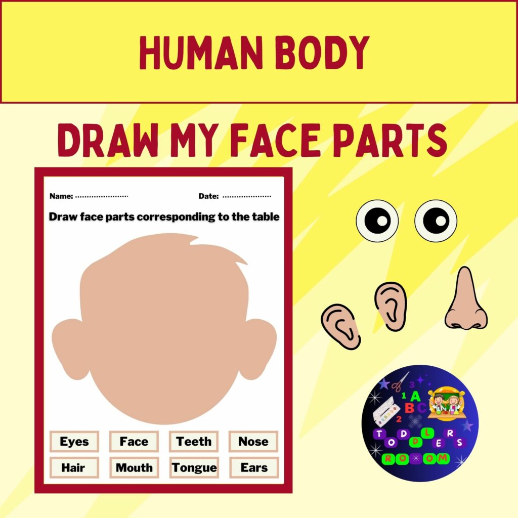 Human Face: Drawing, Matching and Writing Activity Work Sheets | Made ...