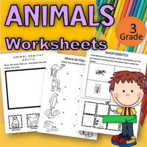 3rd Grade Animal Worksheets: Explore the Wonders of the Animal Kingdom ...
