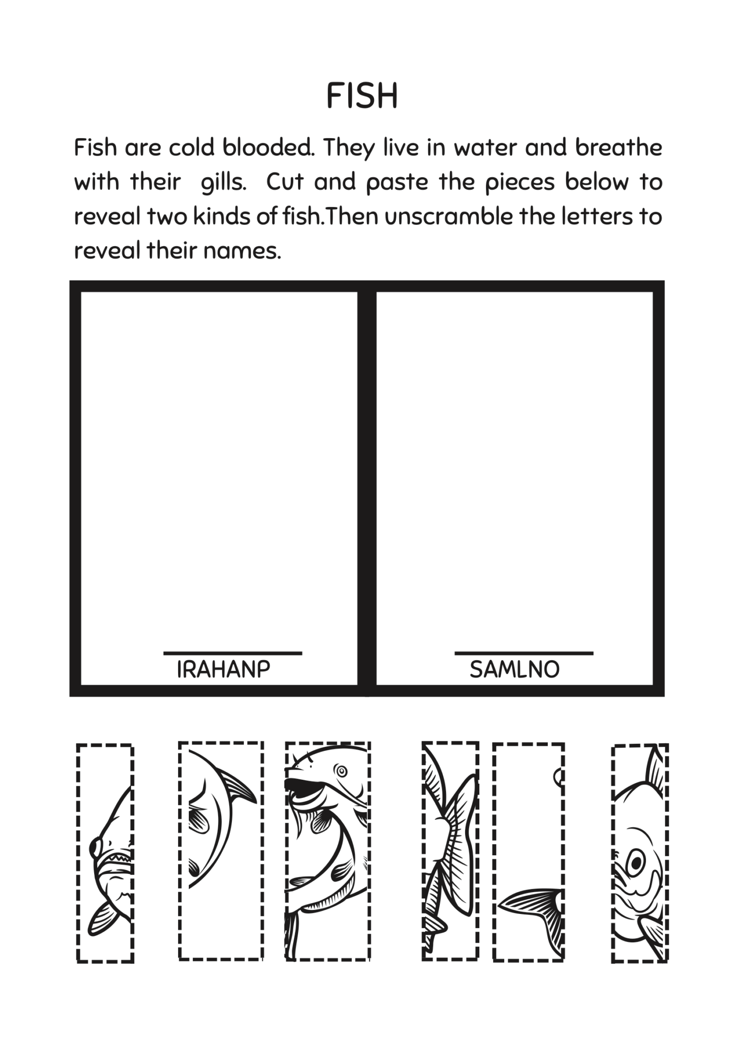 3rd Grade Animal Worksheets: Explore the Wonders of the Animal Kingdom ...