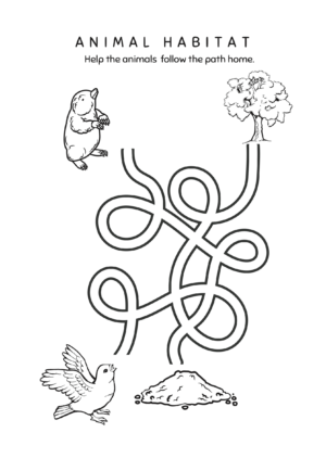 3rd Grade Animal Worksheets: Explore the Wonders of the Animal Kingdom ...