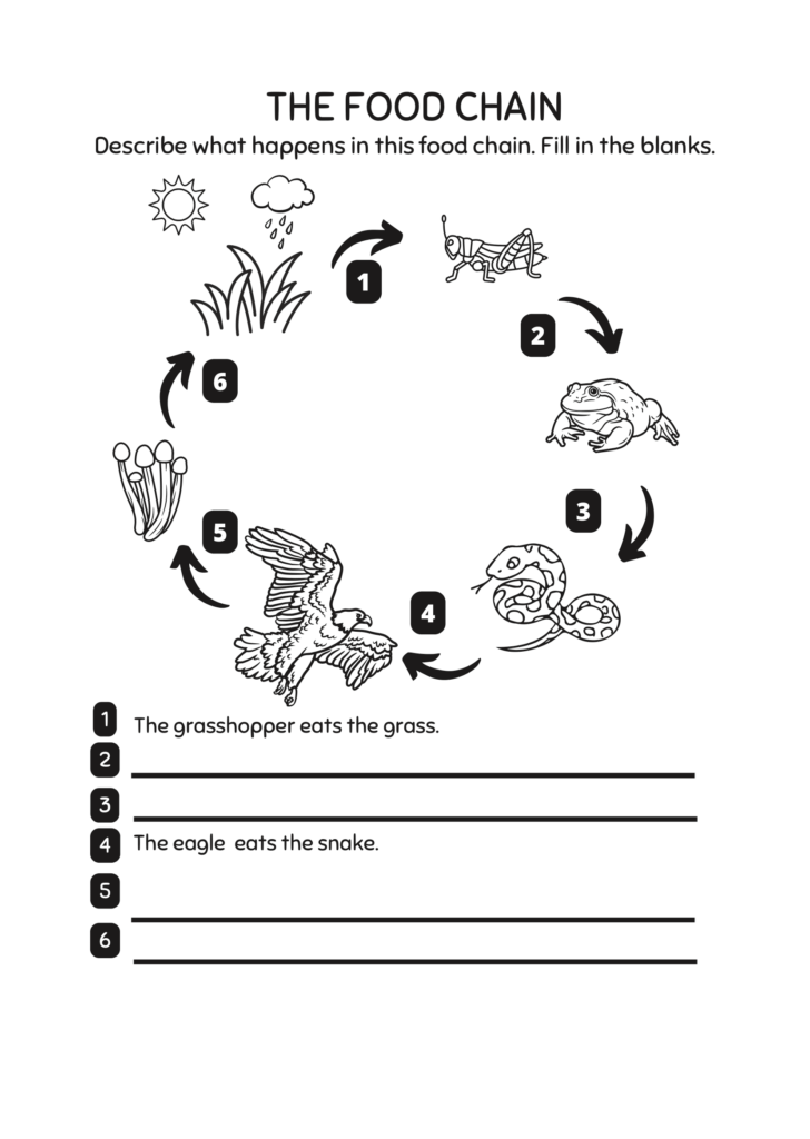 3rd Grade Animal Worksheets: Explore the Wonders of the Animal Kingdom ...