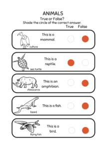 3rd Grade Animal Worksheets: Explore the Wonders of the Animal Kingdom ...