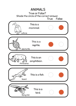 3rd Grade Animal Worksheets: Explore the Wonders of the Animal Kingdom ...