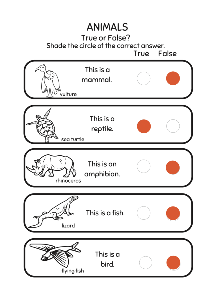 3rd Grade Animal Worksheets: Explore the Wonders of the Animal Kingdom ...