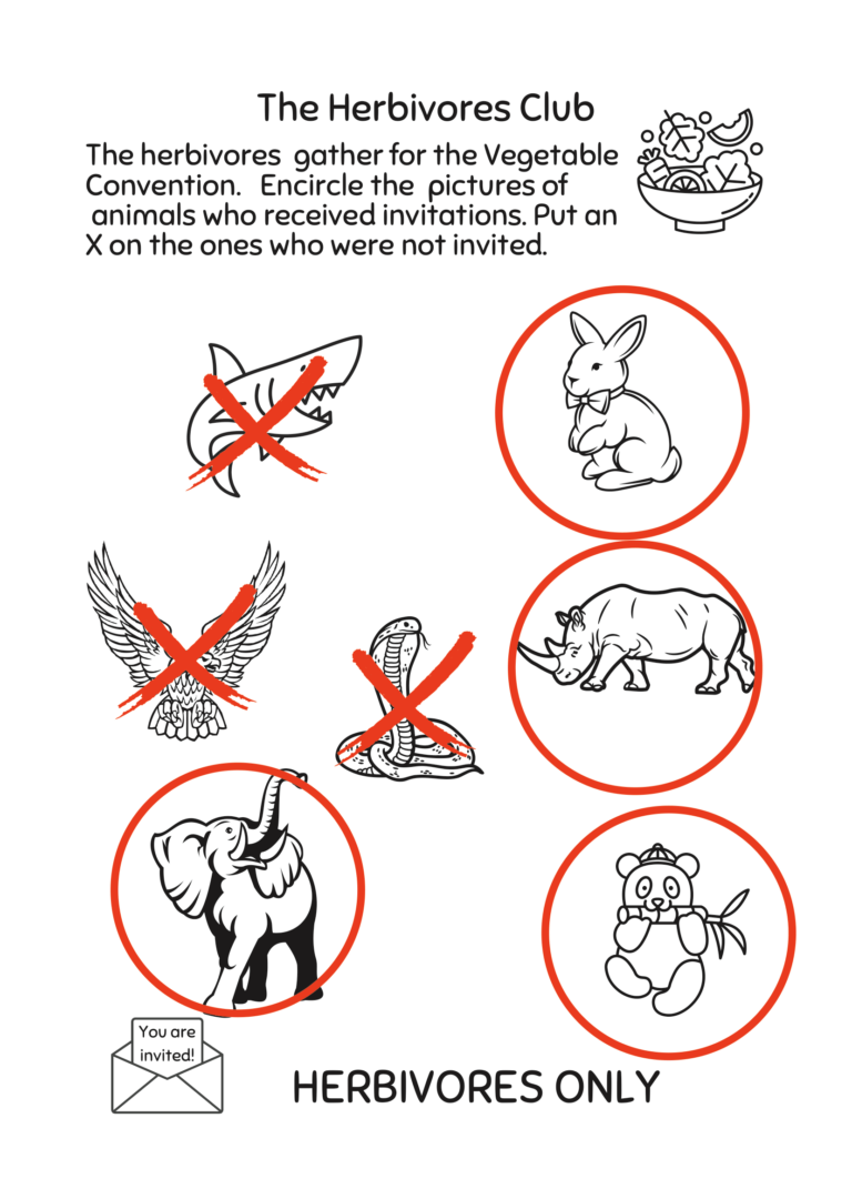 3rd Grade Animal Worksheets: Explore the Wonders of the Animal Kingdom ...