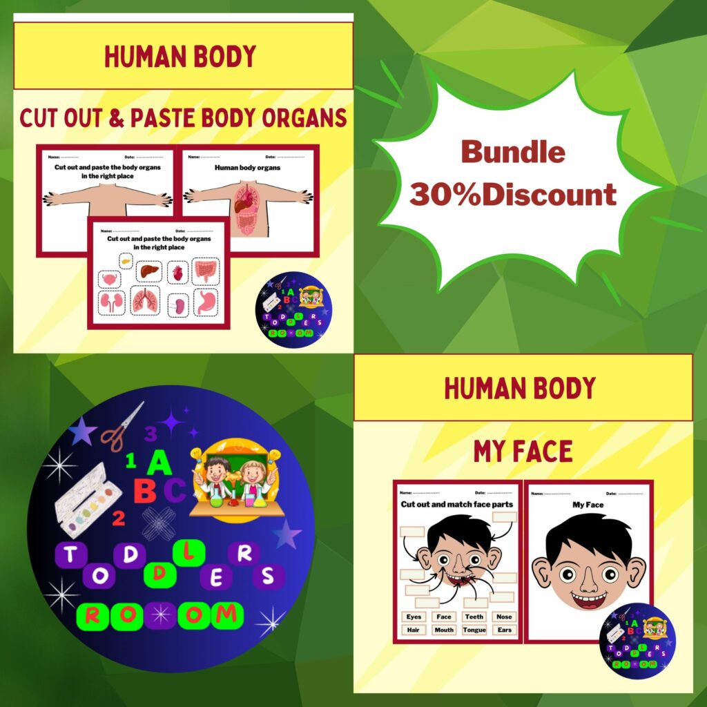 HUMAN BODY COLLECTION | Made By Teachers