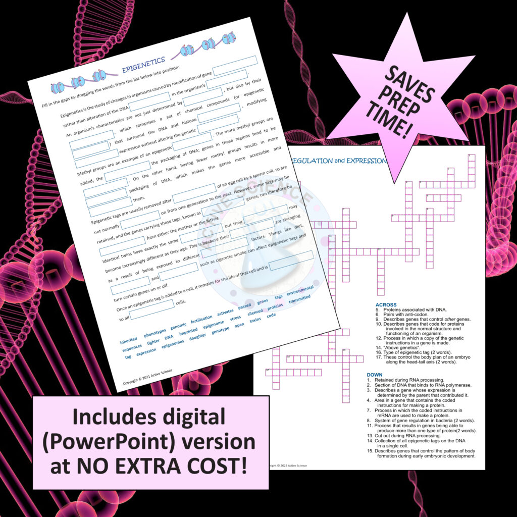 Gene Expression and Regulation | Made By Teachers