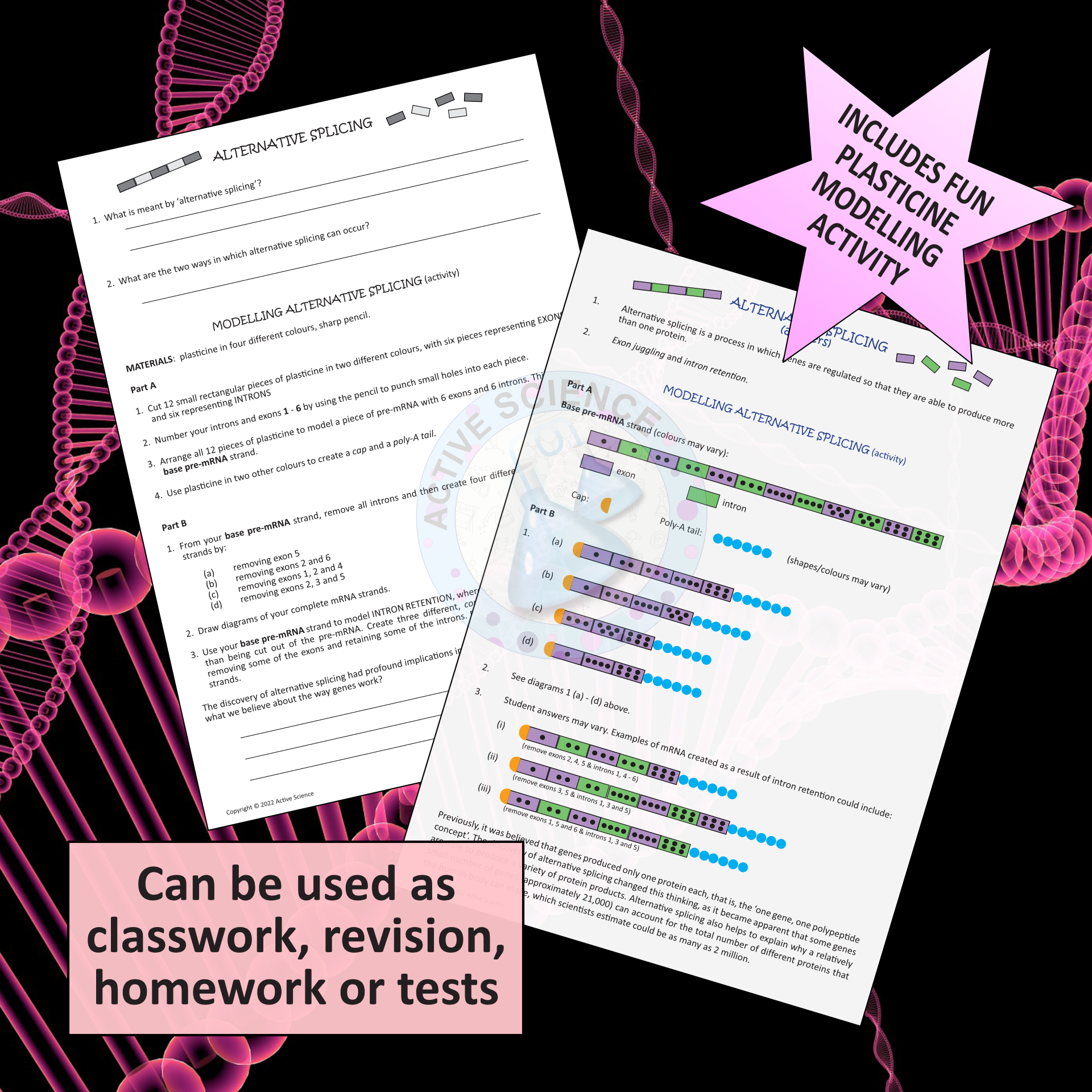 Gene Expression and Regulation | Made By Teachers