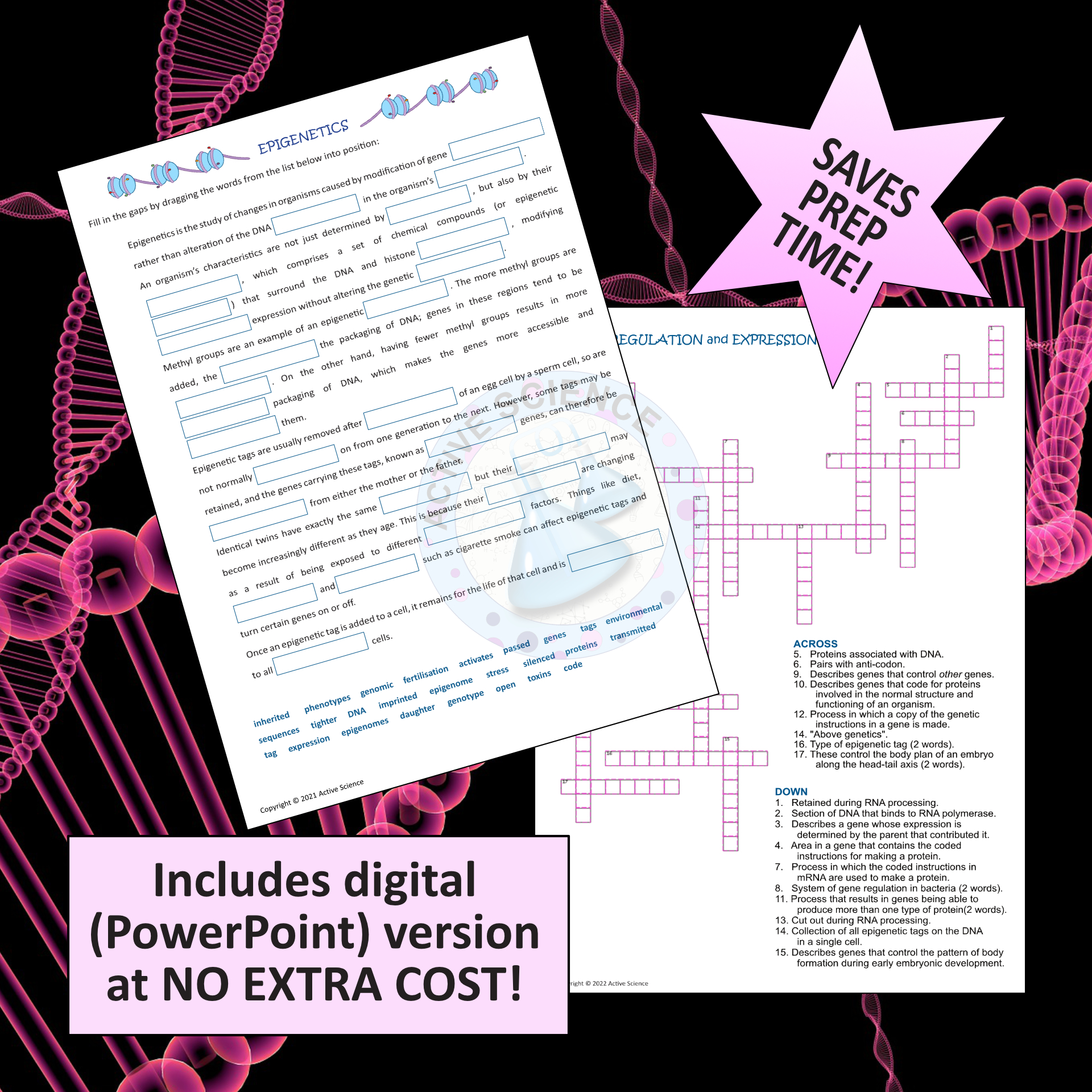 Gene Expression and Regulation (US edition) | Made By Teachers