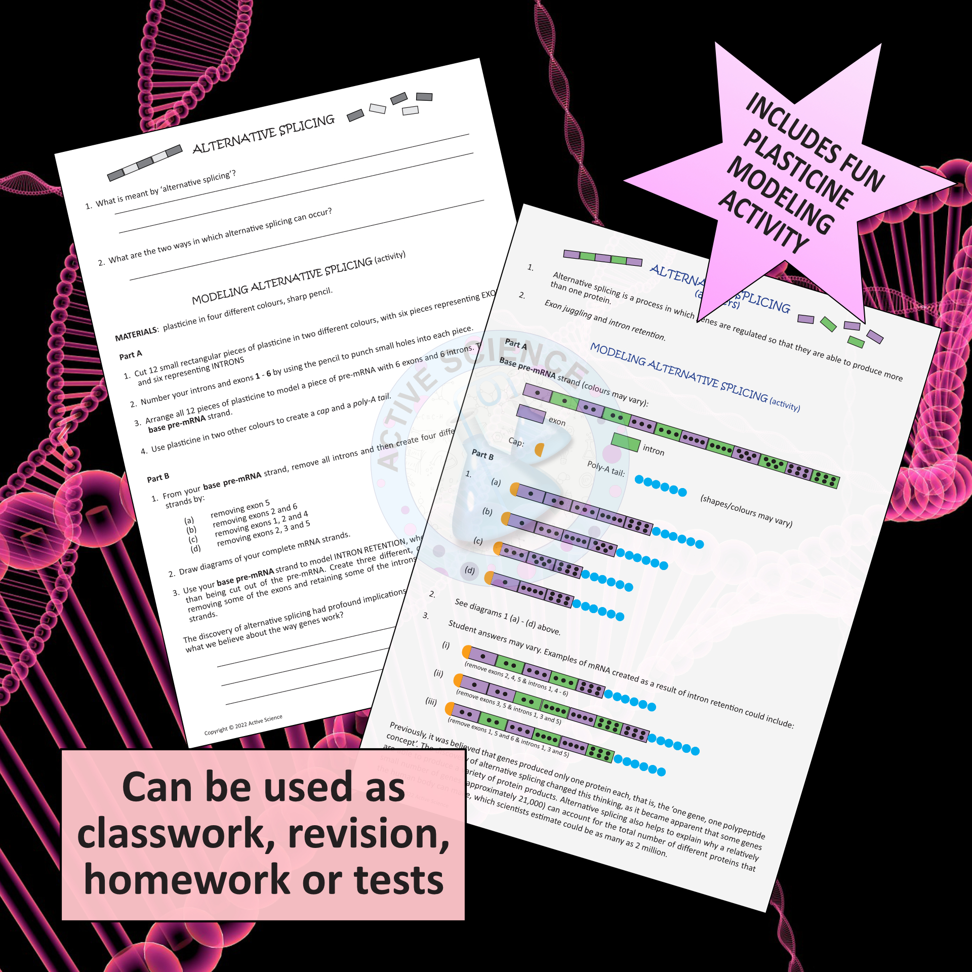 Gene Expression and Regulation (US edition) | Made By Teachers