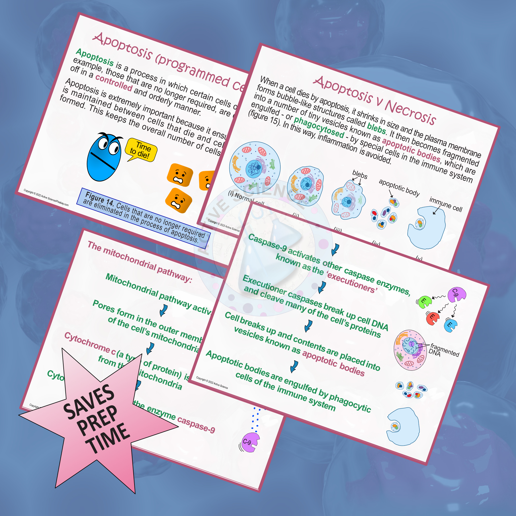 Cell Communication and Apoptosis | Made By Teachers