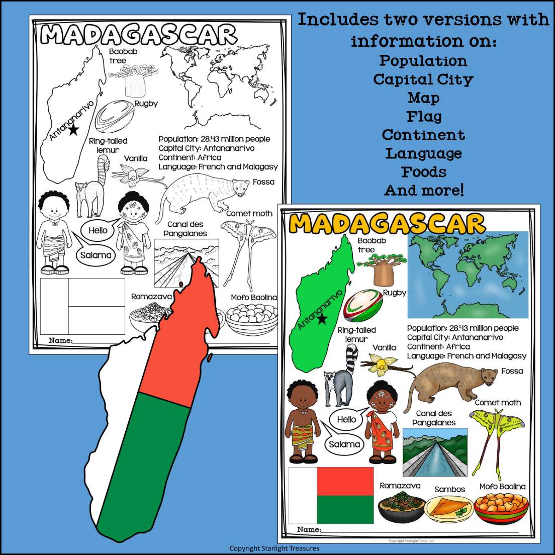Madagascar Fact Sheet for Early Readers | Made By Teachers