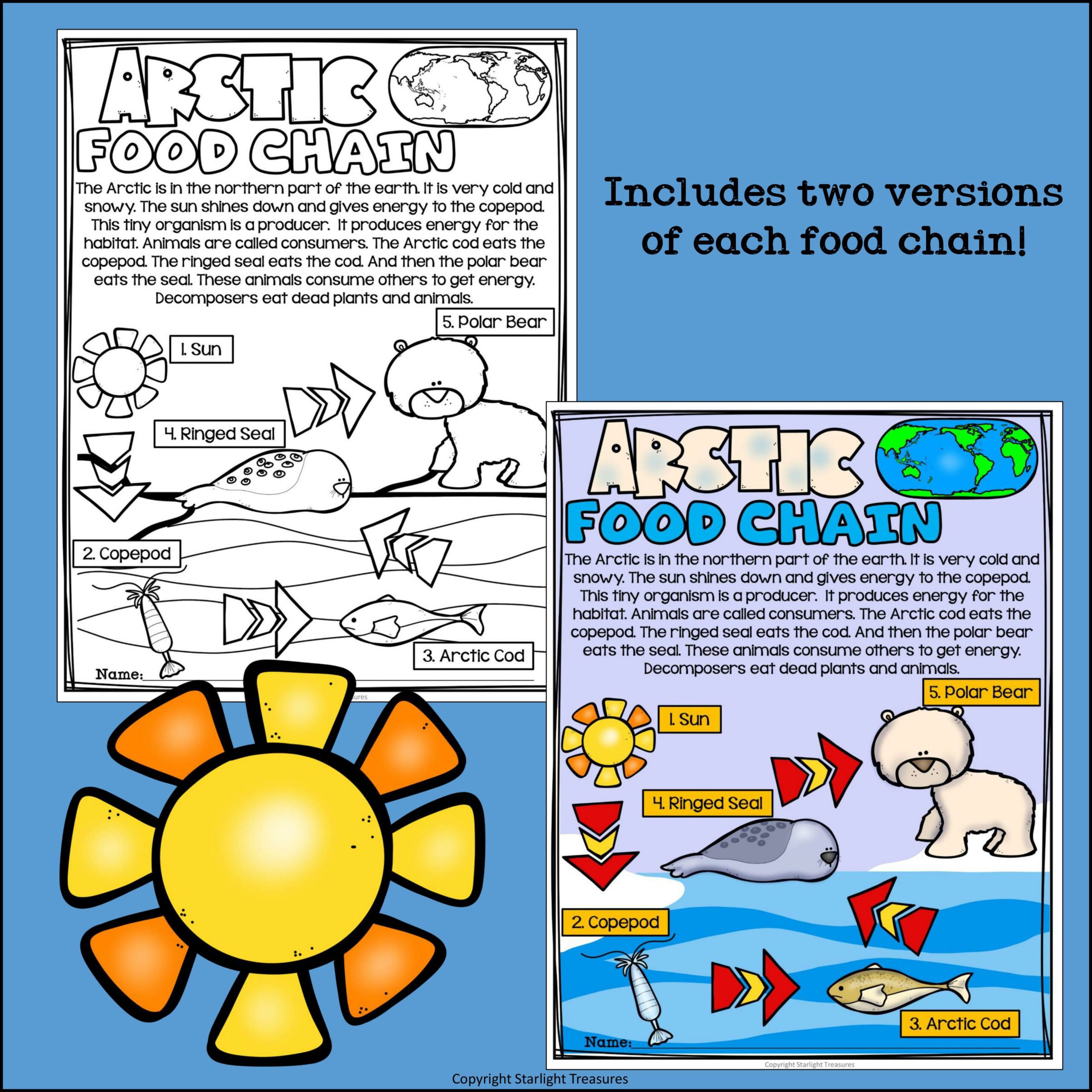 Food Chains Fact Sheets: Arctic, Desert, Forest, Ocean, Tundra, and ...