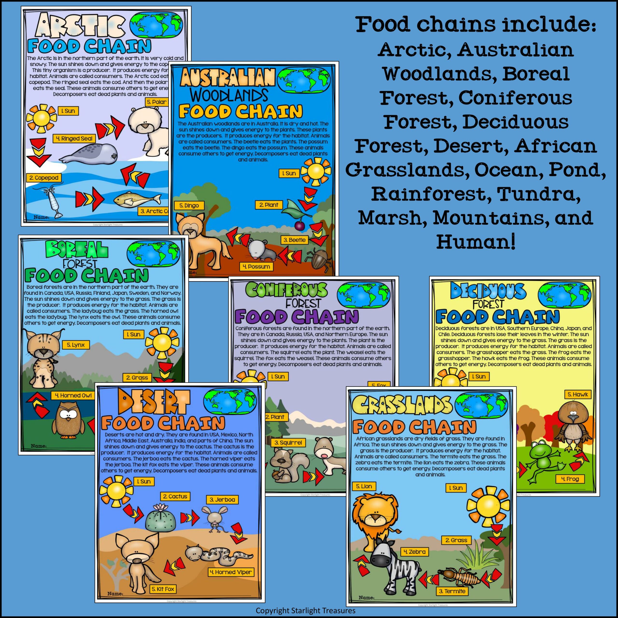 Food Chains Fact Sheets: Arctic, Desert, Forest, Ocean, Tundra, and ...