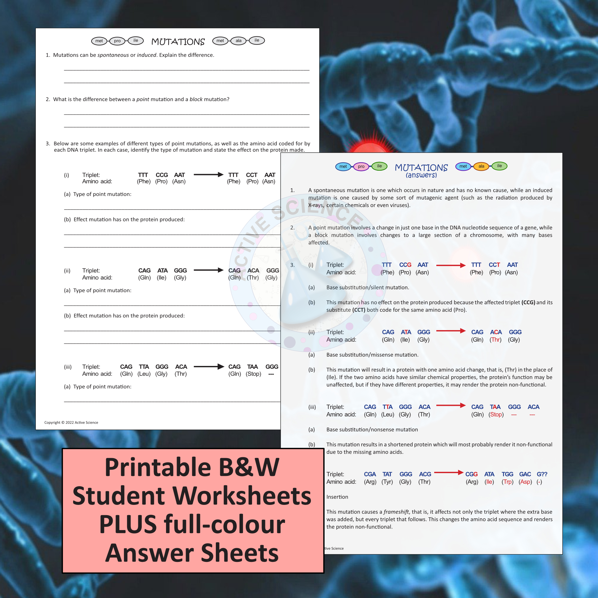 Genetic Mutation | Made By Teachers