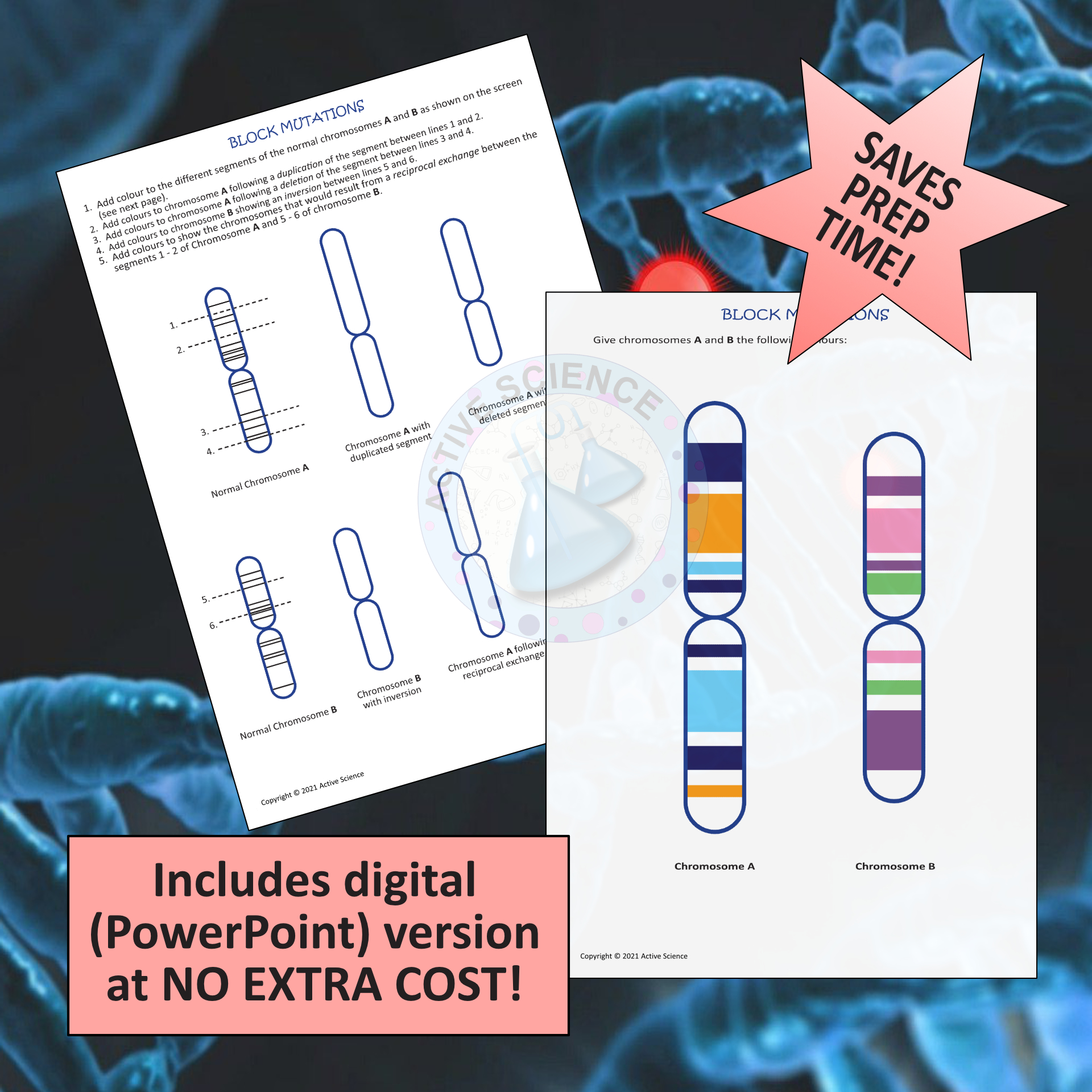Genetic Mutation | Made By Teachers