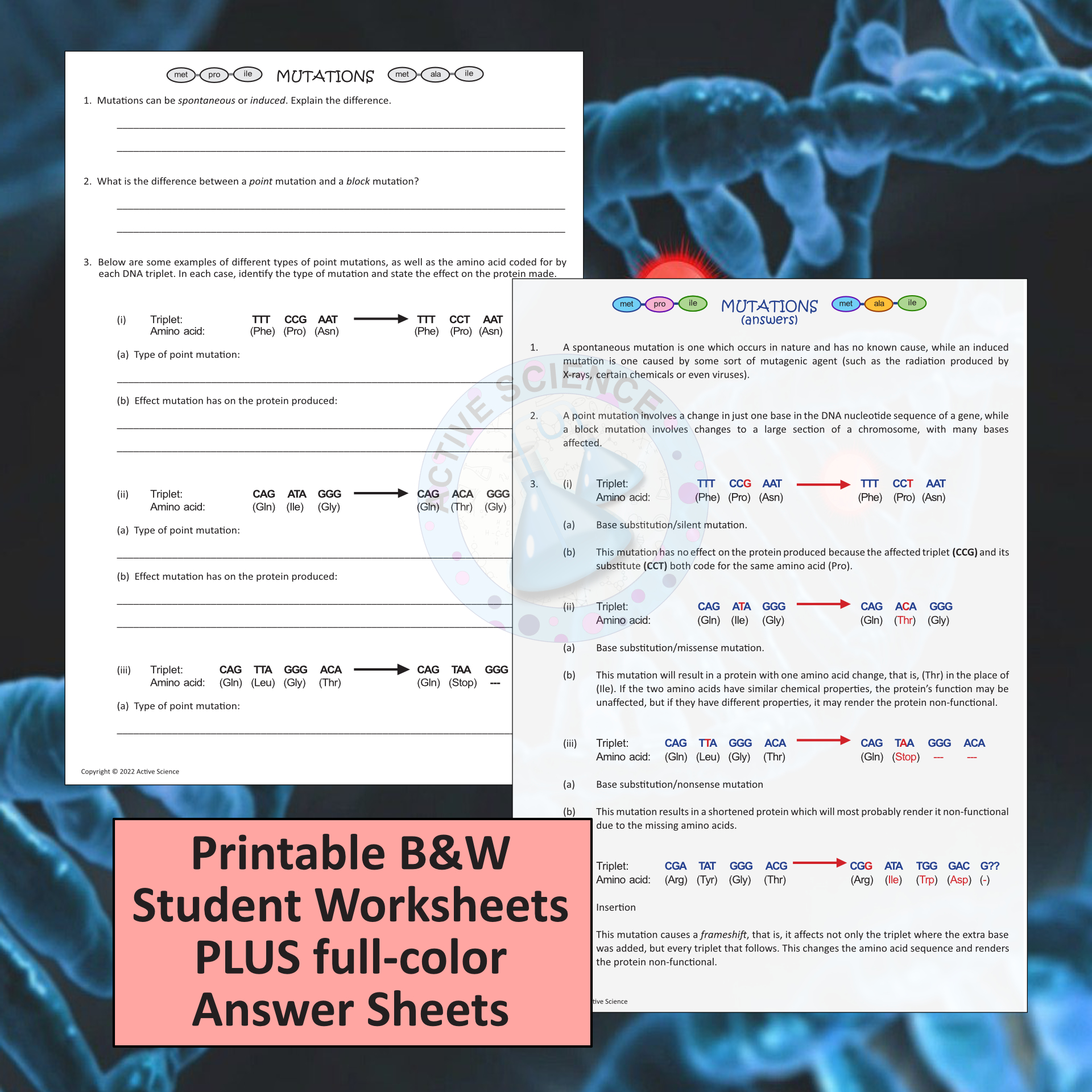 Genetic Mutation (US edition) | Made By Teachers