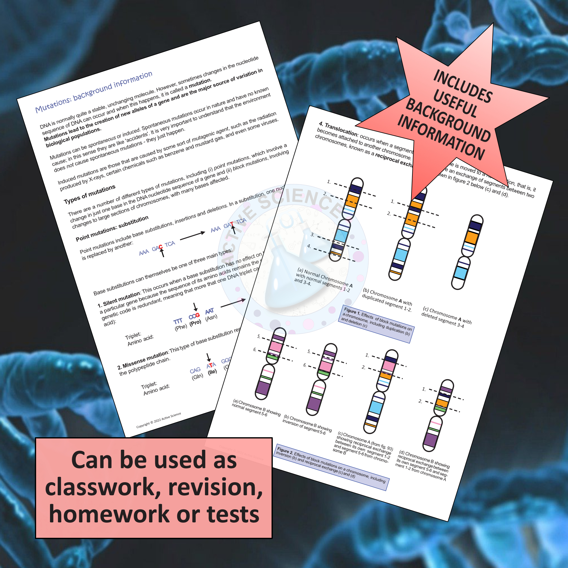 Genetic Mutation (US edition) | Made By Teachers