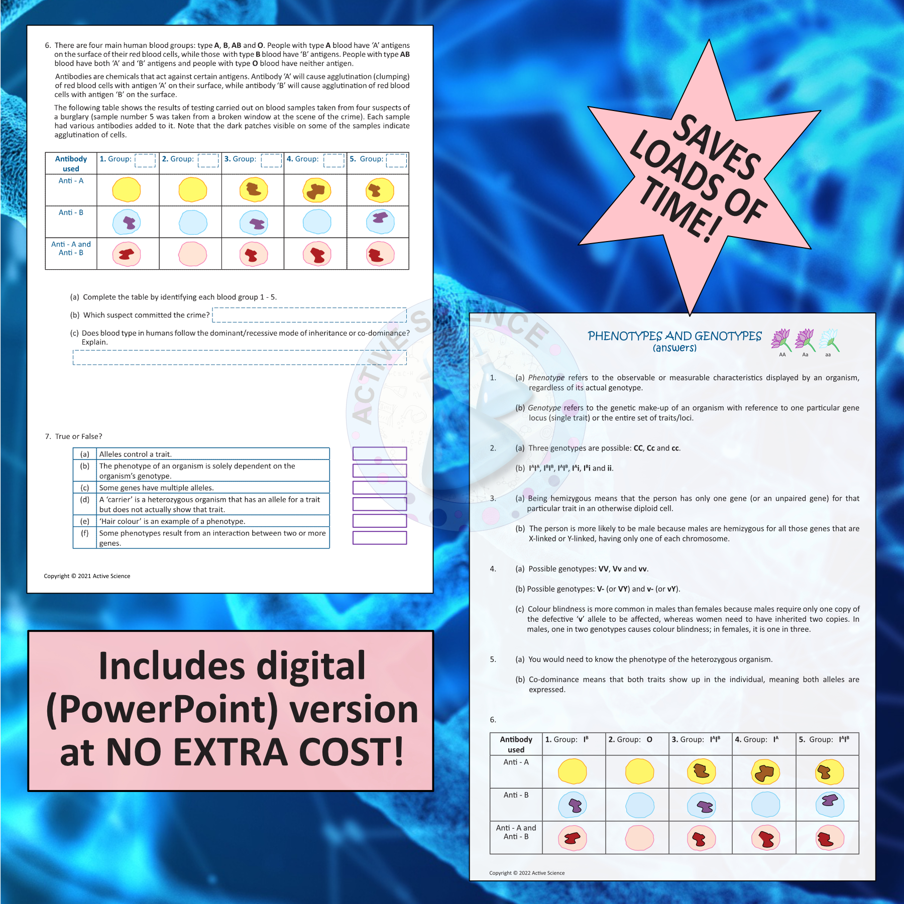 Genetics: crosses, pedigrees, human variation | Made By Teachers