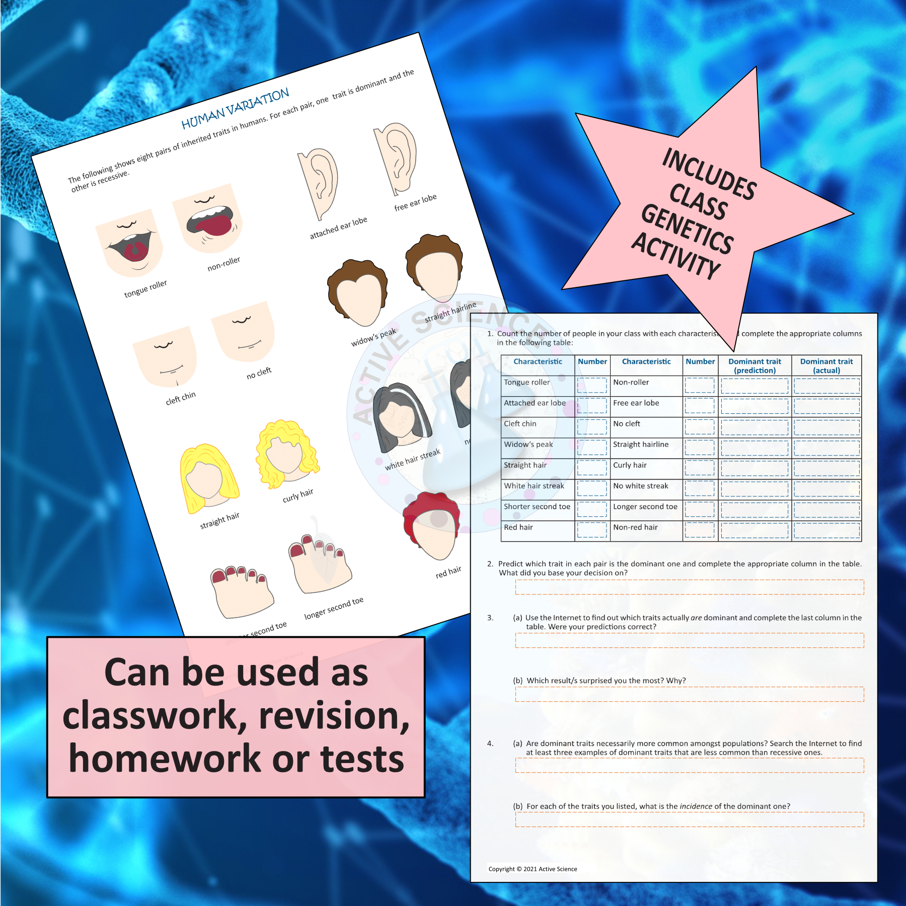 Genetics: crosses, pedigrees, human variation | Made By Teachers
